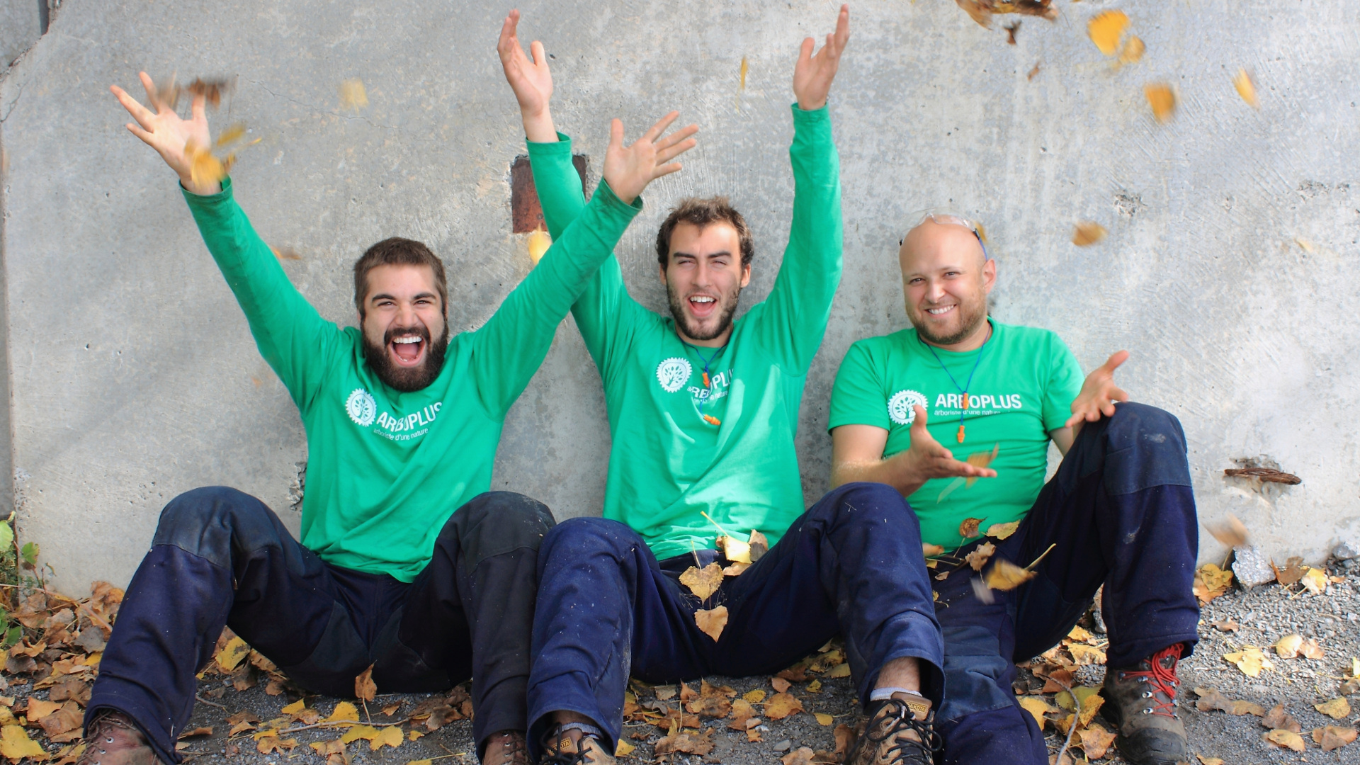 À propos d'Arboplus - Entreprise arboricole - Arboplus