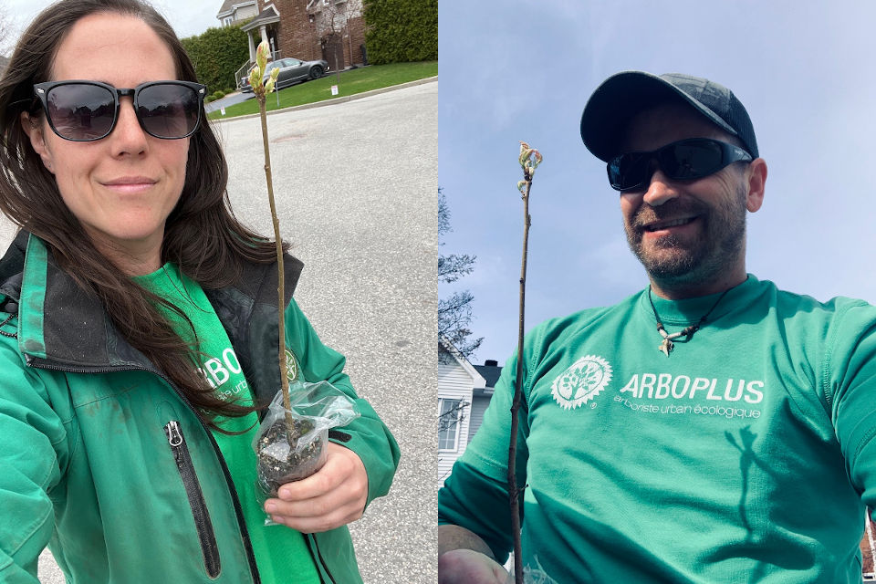 Cadeau client - Livraison d'arbre 2023 | Arboplus